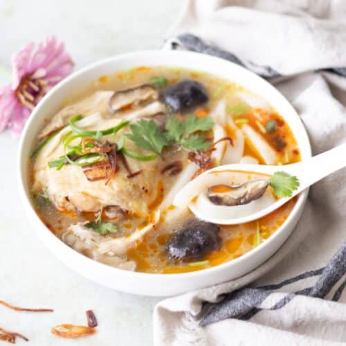 10 Minutes Khao Piek Sen Soup (Lao Chicken Noodle Soup) Recipe - Sticky ...