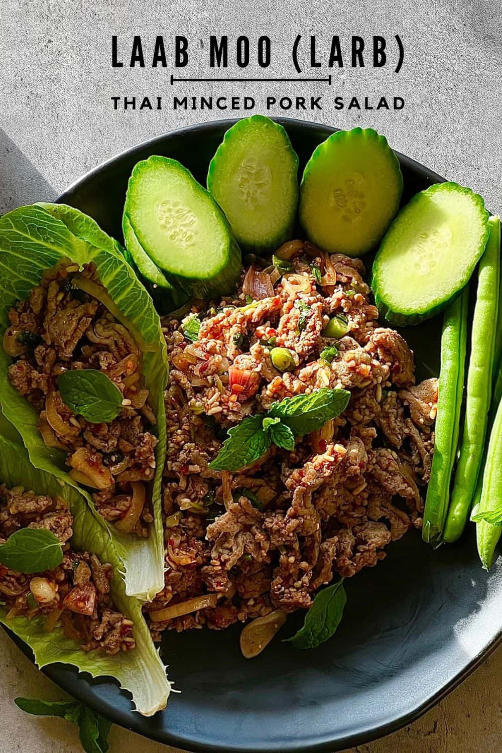 Pork Laab (Larb) Recipe - Sticky Rice Thai Kitchen