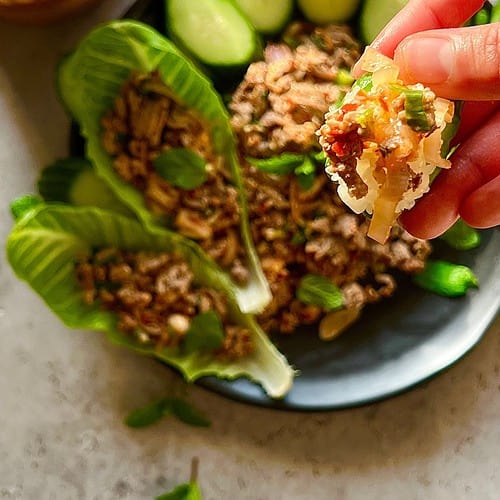 Pork Laab (Larb) Recipe - Sticky Rice Thai Kitchen