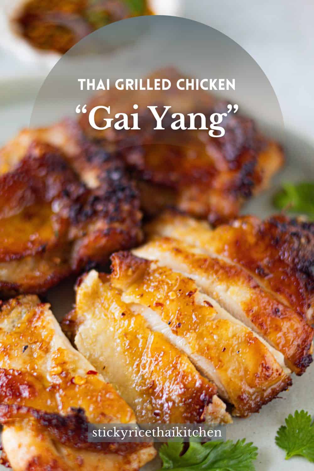 Gai Yang Recipe (Thai Grilled Chicken) - Sticky Rice Thai Kitchen