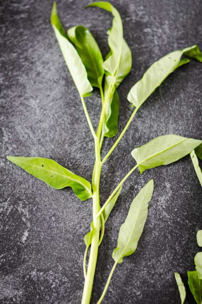 Water Spinach (Morning Glory) - Sticky Rice Thai Kitchen