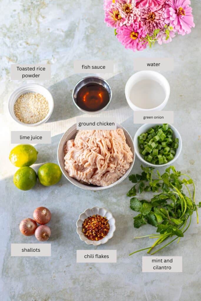 Laab Gai (Larb Gai) - Sticky Rice Thai Kitchen