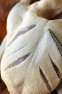 Asian Style Roasted Duck - Sticky Rice Thai Kitchen